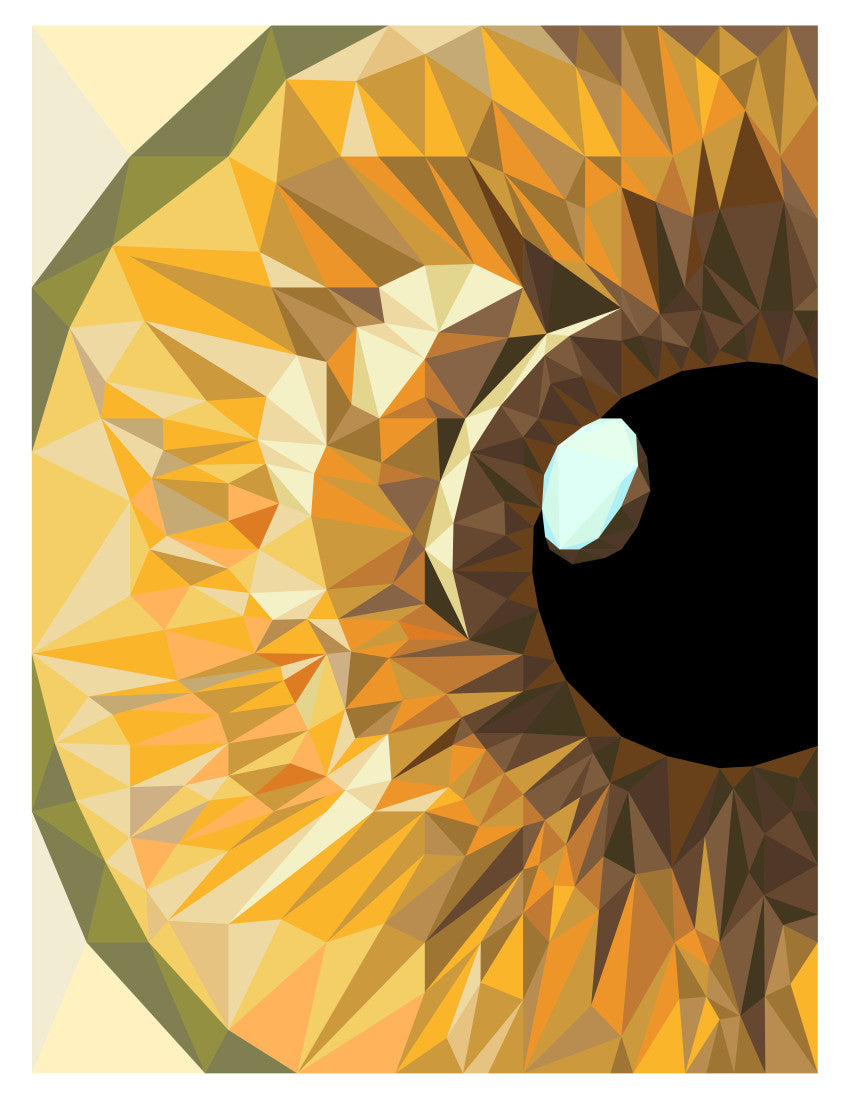 Hazel Iris Pattern – Legit Kits