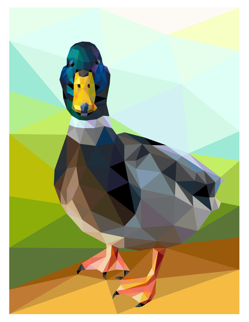 James Pond Quilt Kit – Legit Kits